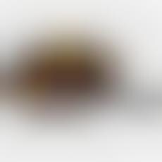 All-In-One Cooking Pans : master pan