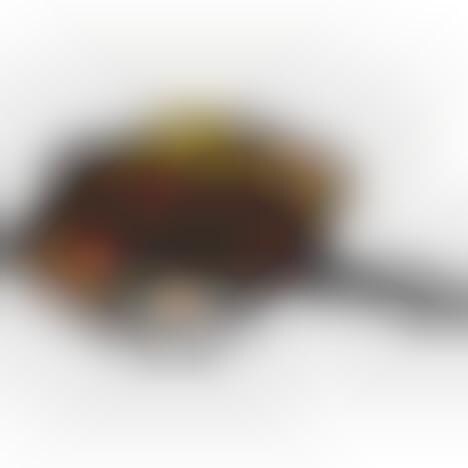 All-In-One Cooking Pans : master pan