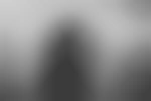 Dignified Wildlife Photography : African Animals