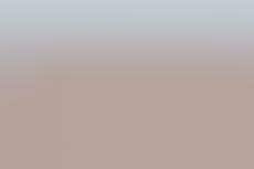 Contorted Body Portraits : contorted body