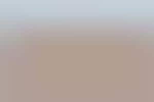 Contorted Body Portraits : contorted body