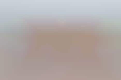 Contorted Body Portraits : contorted body