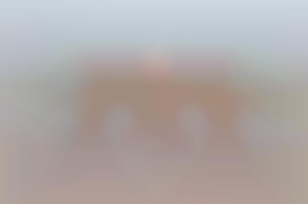 Contorted Body Portraits : contorted body