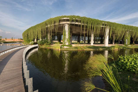 Foliage Enclosed Walkways : trailing plants