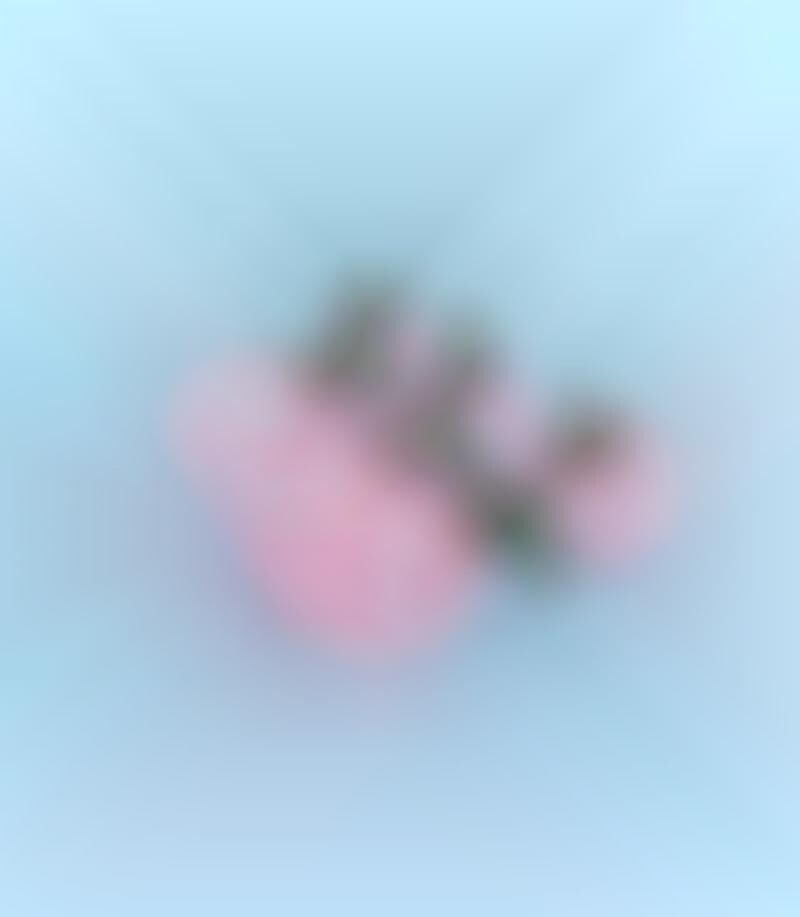 Top 100 Design Trends in October