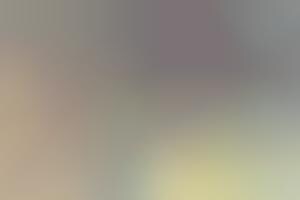 Modern Bespoke Pizzerias : pizza buzz