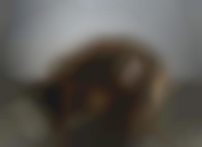 Top 65 Furniture Trends in October