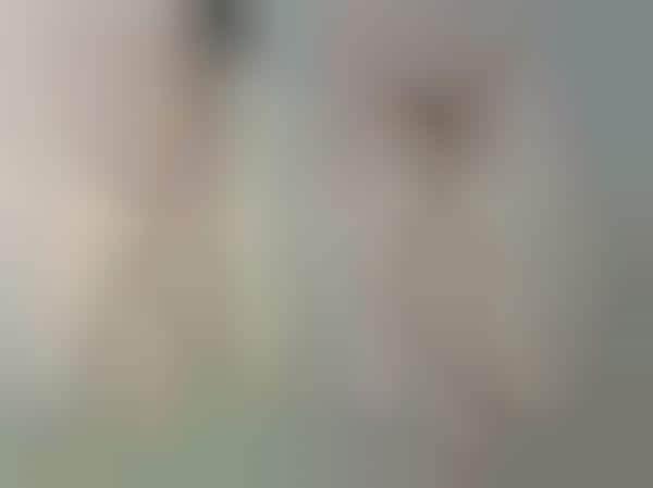 Abstract Human Body Portraits : abstract human body