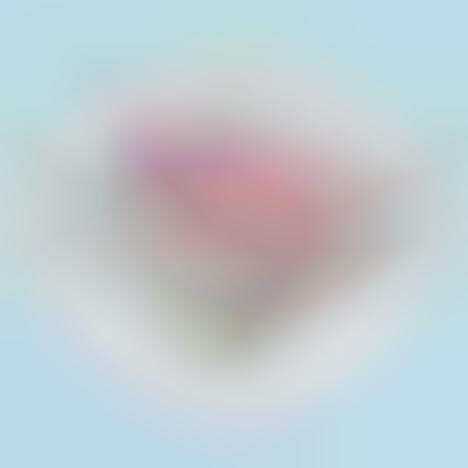 Anatomic Heart Coasters : anatomic Heart