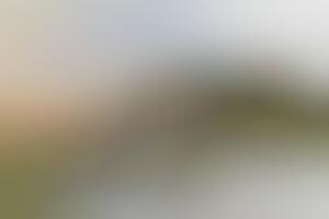 Lean River-Like Buildings : fluid structure