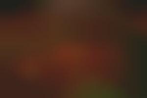 Flamboyant Retro Bars : Soho Bar