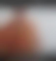 Portable Pizza Pouches : portable pizza