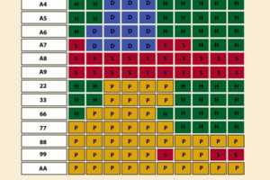 Strategical Blackjack Infographics : blackjack