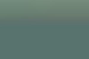 Anonymous Confession Screens : waiting wall