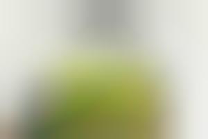 App-Controlled Microhabitats : Artificial Habitat