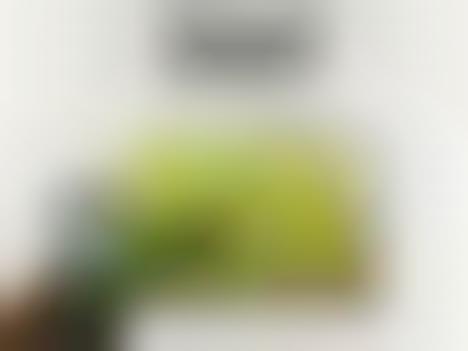 App-Controlled Microhabitats : Artificial Habitat