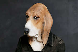 Lifelike Hound Disguises : Basset Hound Mask