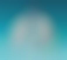 Anatomical Balloon Sculptures : inflatable art