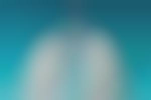 Anatomical Balloon Sculptures : inflatable art