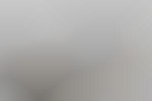 Mammoth Tusk Tea Sets : mammoth tusk