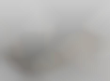 Mammoth Tusk Tea Sets : mammoth tusk