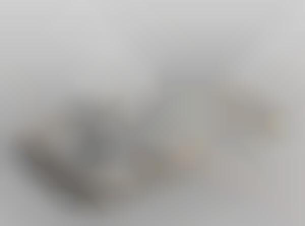 Mammoth Tusk Tea Sets : mammoth tusk