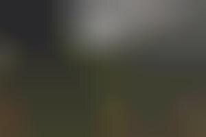 Zombie-Proof Cabins : zombie-proof