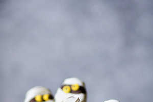 Mummified Cookie Pops : Halloween ghoul