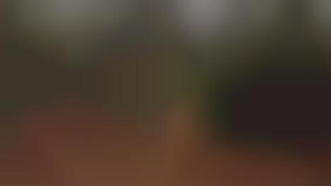 Zombie-Proof Cabins : zombie-proof