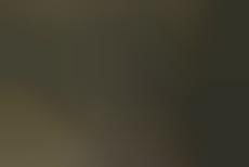 Gallery Sneaker Shops : laces shoe store