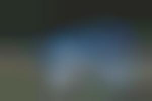 Poignant Sinking Statues : climate change art