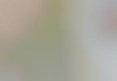 Confetti Cake Squares : homemade confetti cake