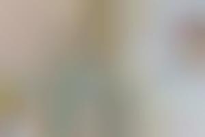 Confetti Cake Squares : homemade confetti cake