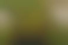 Infinity Symbol Gardens : Infinity Sign