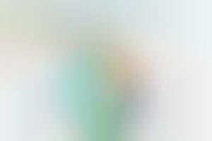 Media Behavior Infographics : media behavior