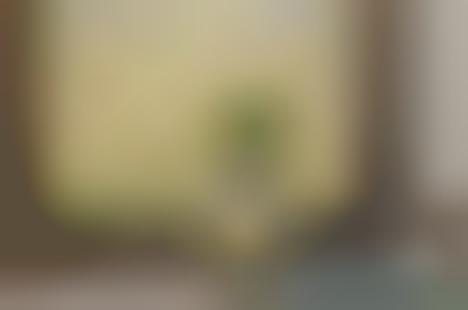 Sustainable Aquaponic Urban Gardens : fish waste