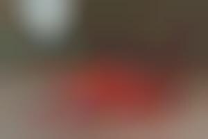 Rainbow Sandbox Displays : Adam Kalinowski