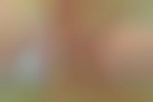 Gourmet Insect Restaurants : insect restaurant