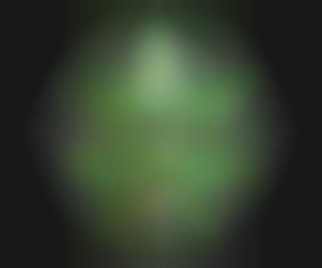 Narcotic Halloween Costumes : Marijuana Leaf Mask