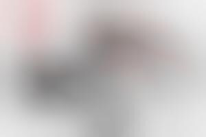 Hub-Free Motorcycles : James Stumpf