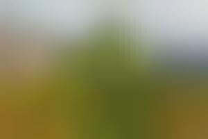 Alien Cranium Alcohol : Outer Space Vodka