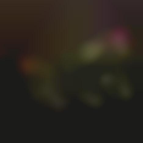 Eco-Friendly Lighting Solutions : LED String Lights