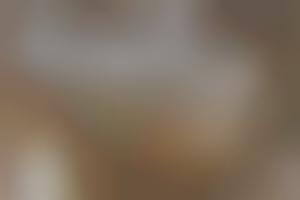 Department Store Cafes : store cafes