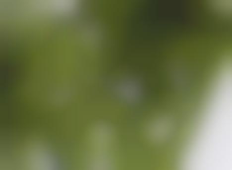 River-Inspired Landscapes : winding path