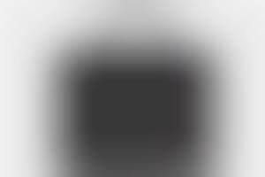 Detachable Clutch Totes : secret agent bag