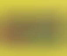 Cider Tree Drink Labels : Cider Tree