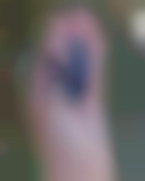 3D Palm Illustrations : Iantha Naicker