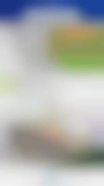 11 Airport Navigation Systems