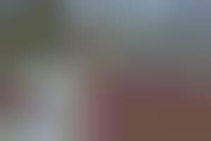 Communal Rooftop Spaces : Communal Roof