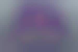 Automotive Advent Calendars : holiday calendar